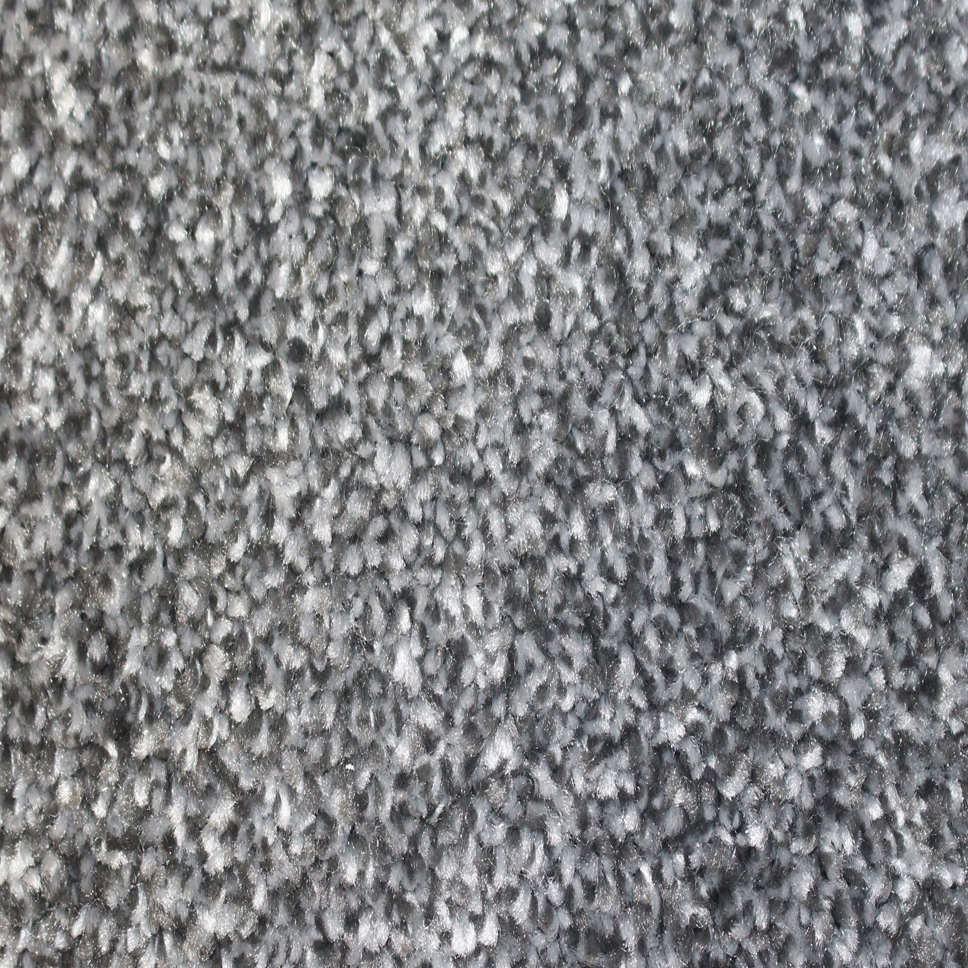 Pledge Carpet in the Greater Philadelphia area | General Floor